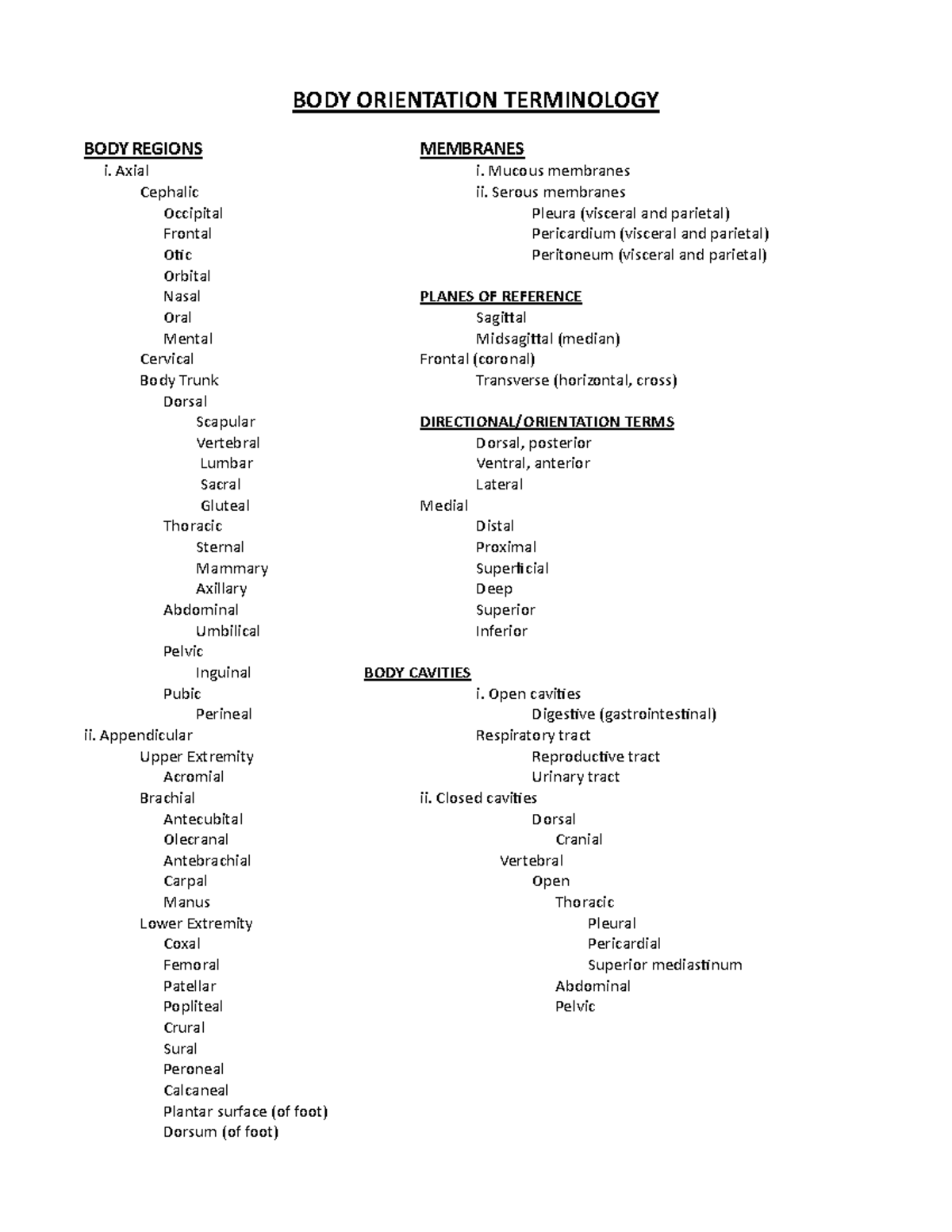 Body Orientation & Histology Lab - BODY ORIENTATION TERMINOLOGY BODY ...