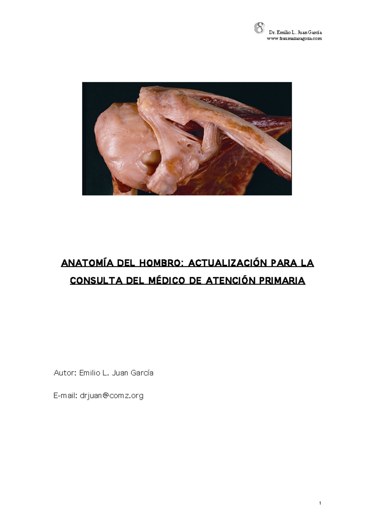 Anatomía del Hombro - Resumen Anatomia - traumazaragoza ANATOMÍA DEL HOMBRO: ACTUALIZACIÓN PARA ...