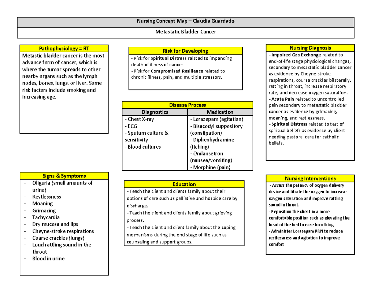 James Nursing Concept Map - Nursing Concept Map 3 Claudia Guardado ...
