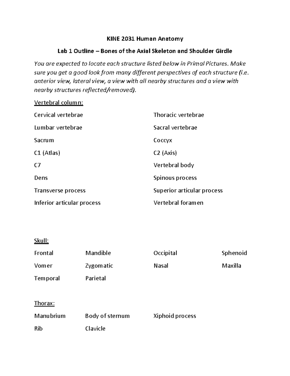 Lab 1 Outline - Axial Skeleton - KINE 2031 Human Anatomy Lab 1 Outline ...