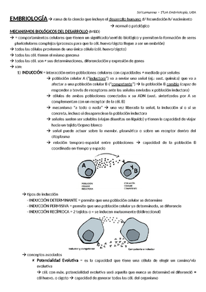 Apuntes de embriología II - Elaborado por: Maria José B o ...