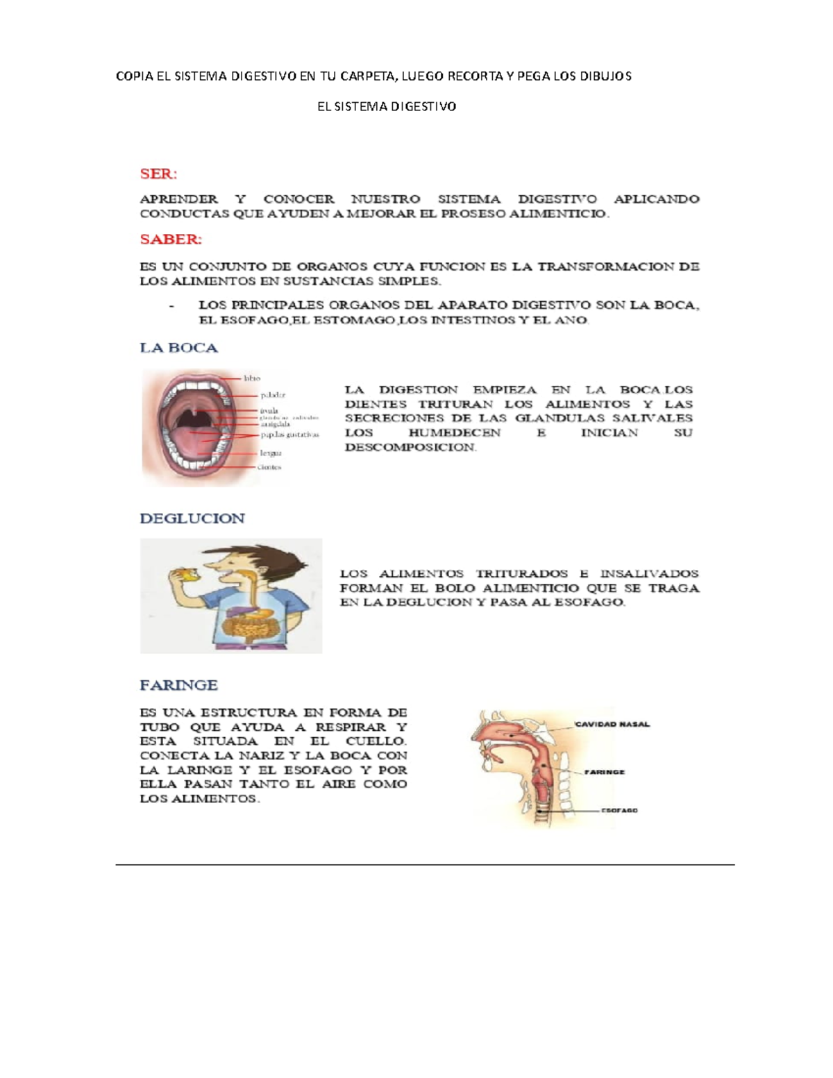 Abril 27 Ciencias Naturales 3Ã Â° C - COPIA EL SISTEMA DIGESTIVO EN TU ...