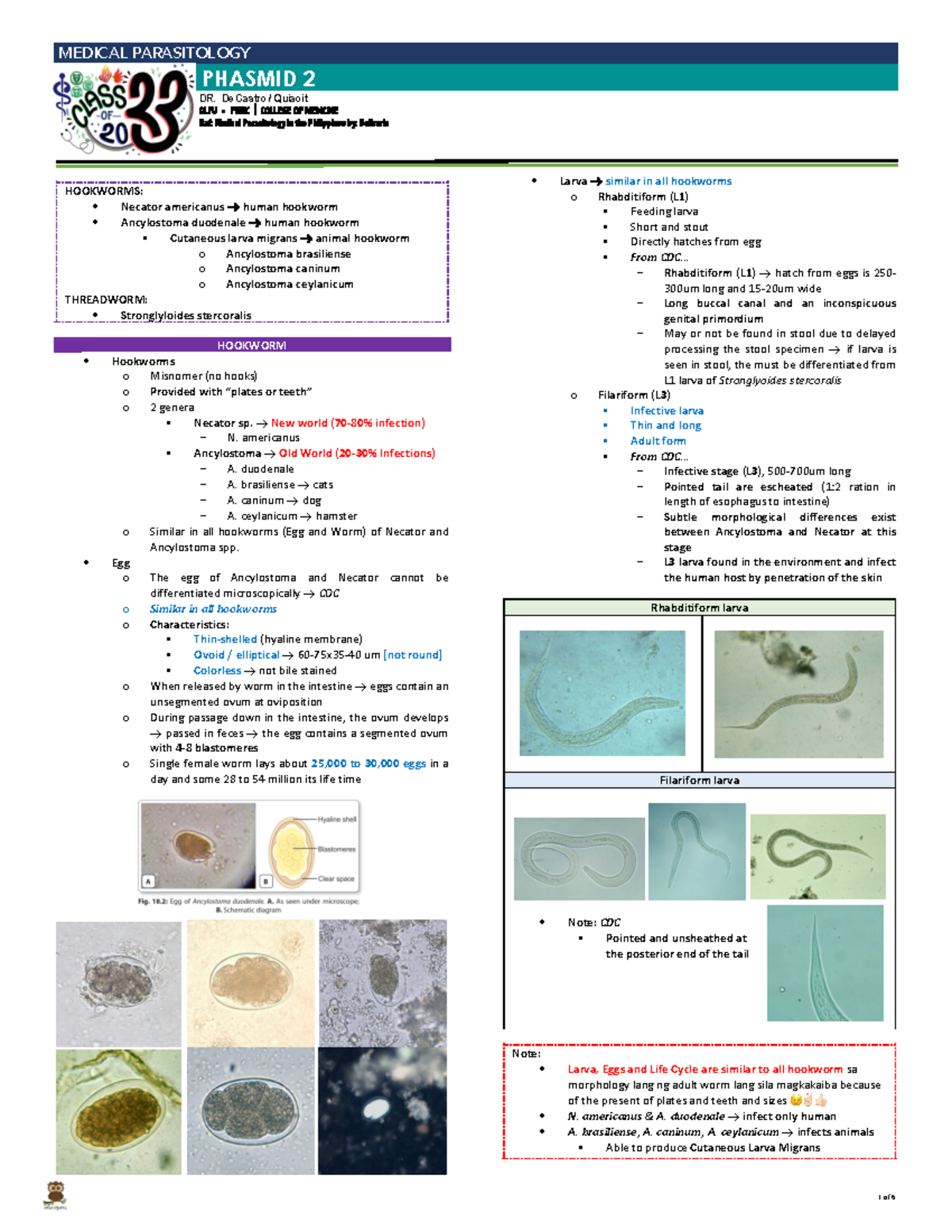 Phasmid 2 Lecture - PHASMID 2 DR. De Castro / Quiaoit OLFU • FUMC ½ ...