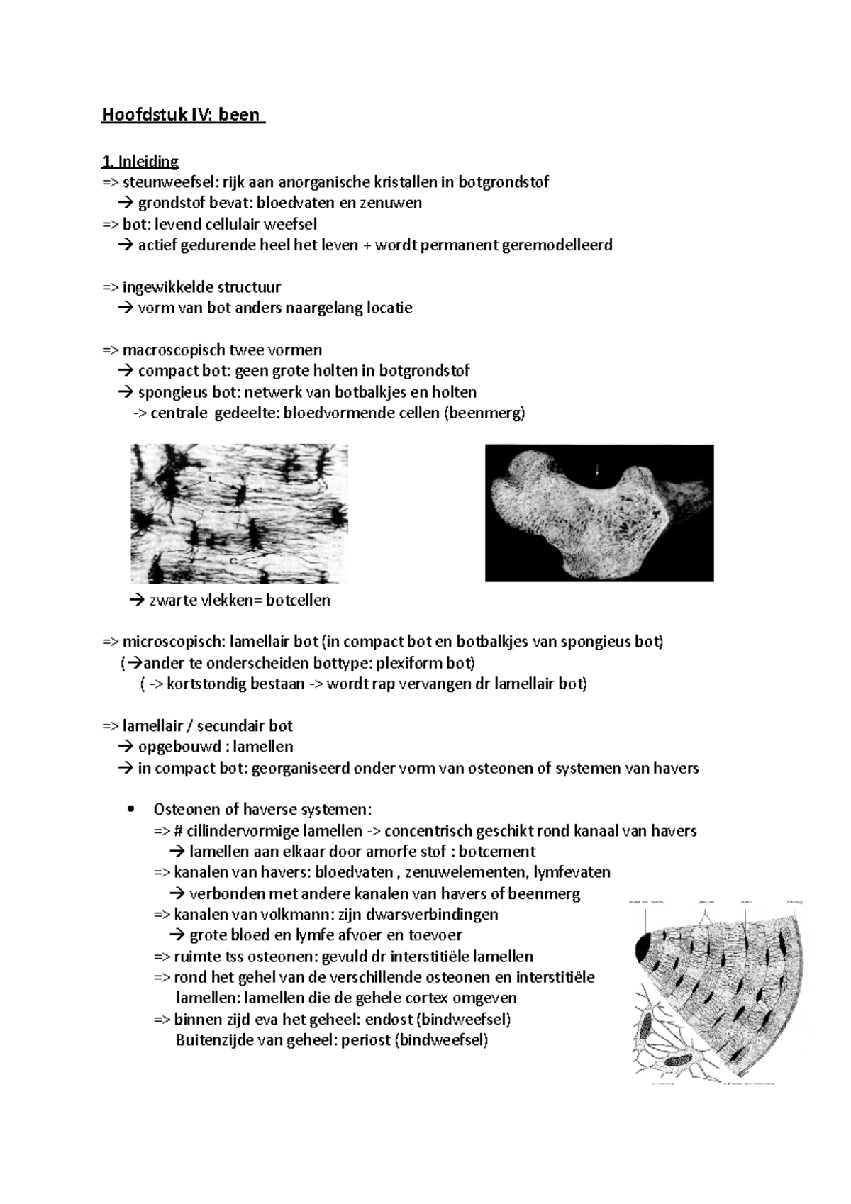 Hoofdstuk IV- been (HIST) - Hoofdstuk IV: been Inleiding ...