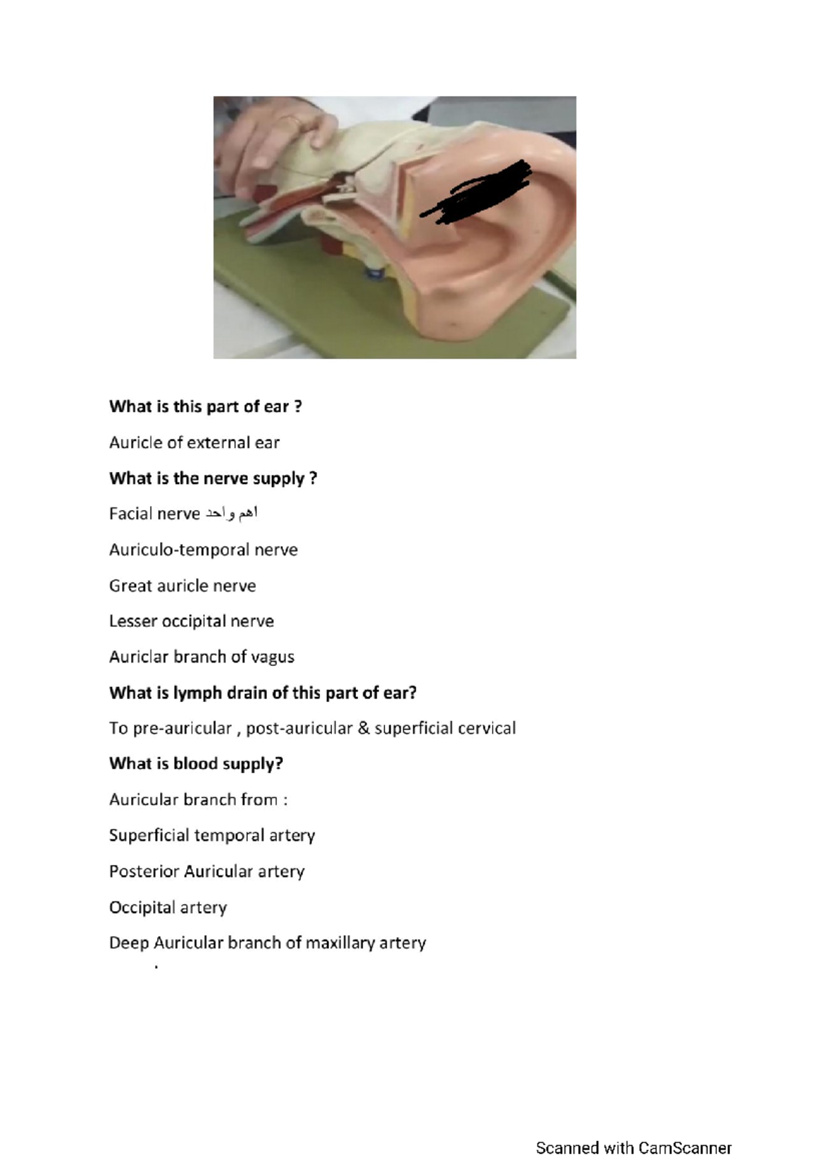 Anatomy of ear practical - Pathology - Studocu