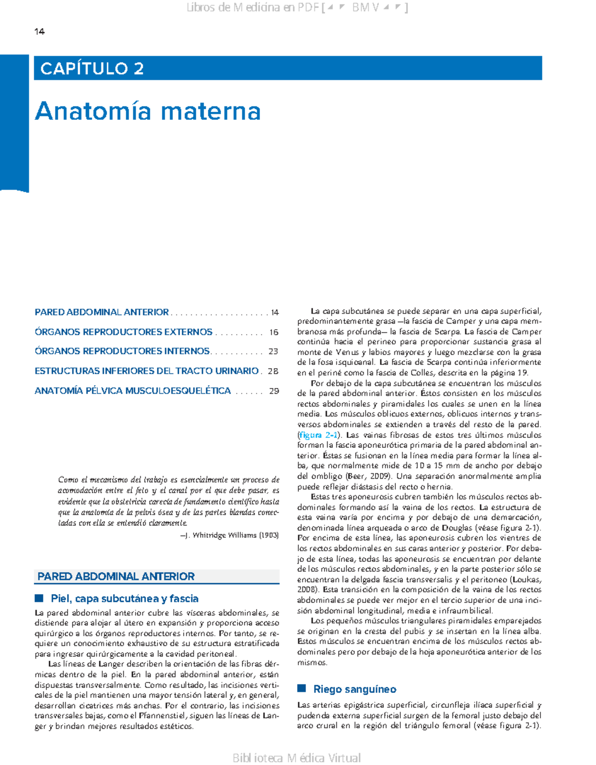 Anatomia materna 1 - 14 La capa subcutánea se puede separar en una capa superficial, - Studocu