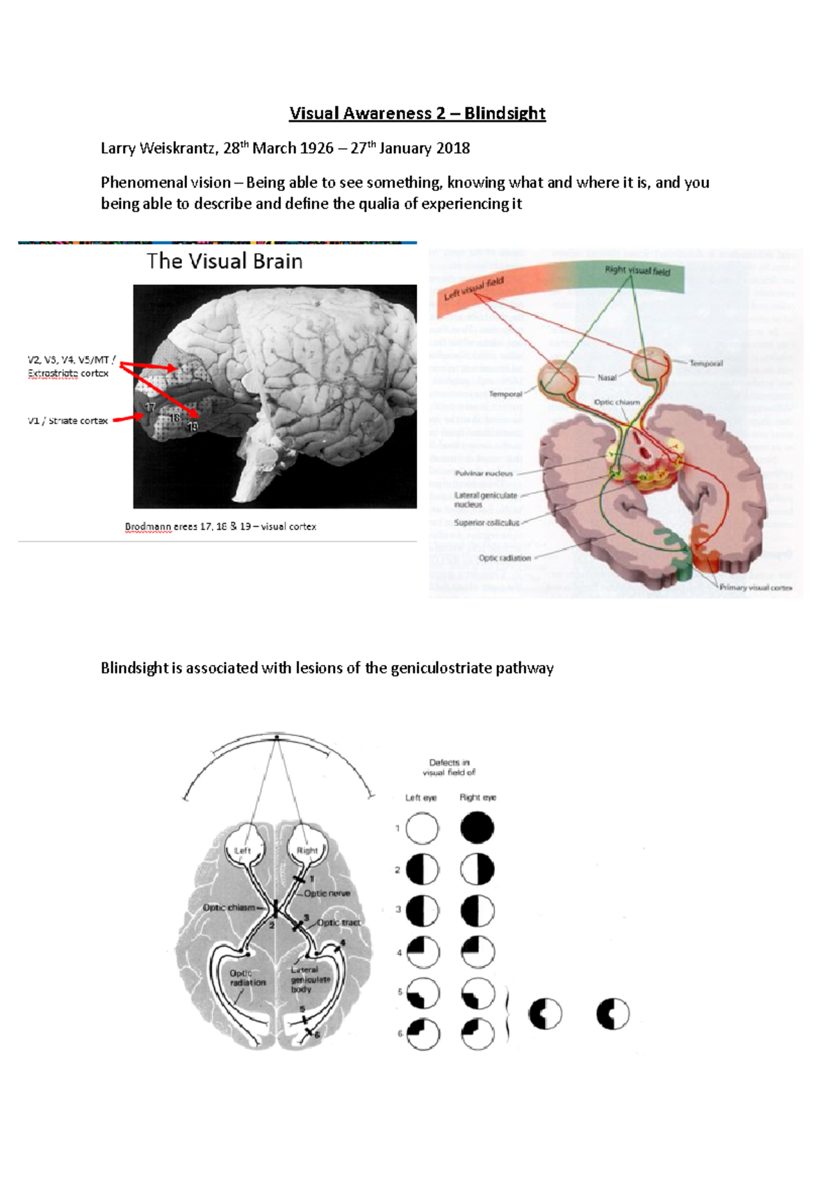 Visual awareness lecture 2 - Visual Awareness 2 – Blindsight Larry ...