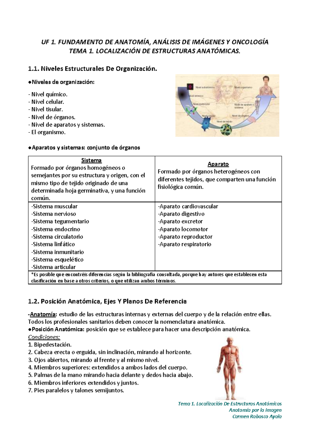 Resumen AnatomíA - Tema 1. Localización De Estructuras Anatómicas Anatomía por la Imagen UF 1 ...