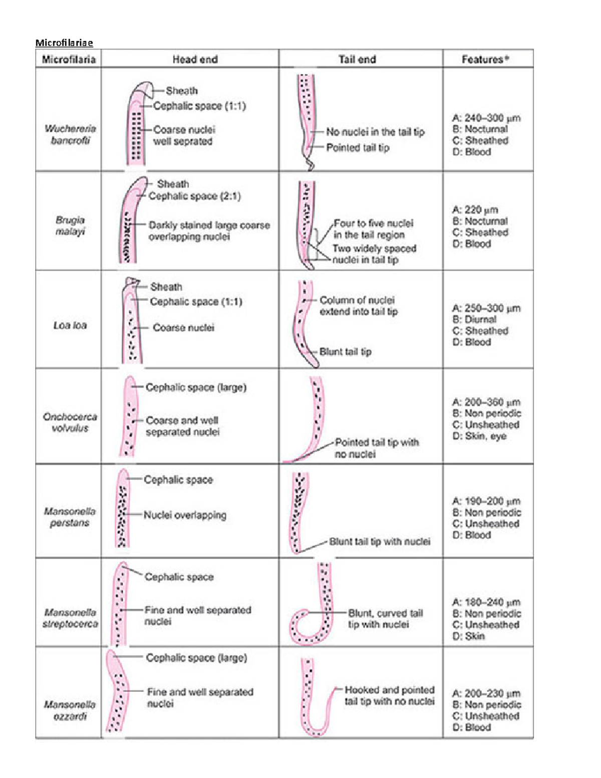 Microfilaria - for learning - Species Geographic distribution Preferred ...
