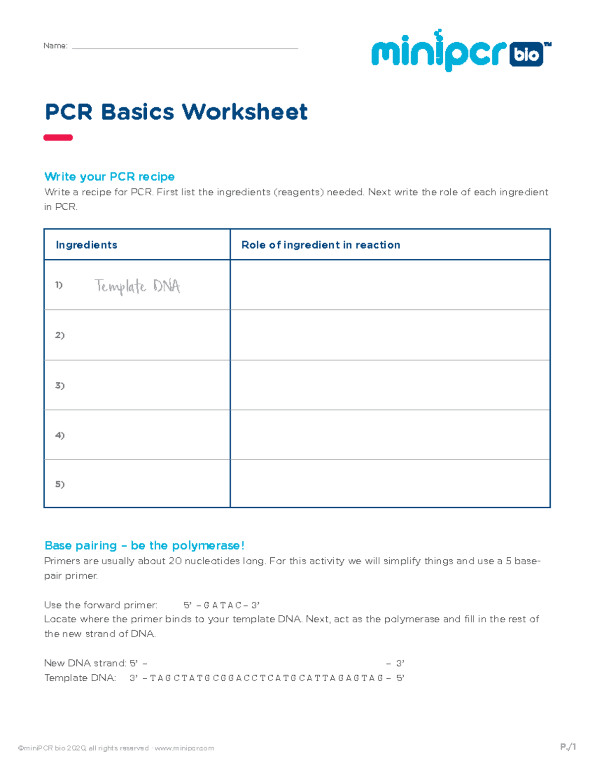 Mini PCR Worksheet PCR Basics - PCR Basics Worksheet Write your PCR ...
