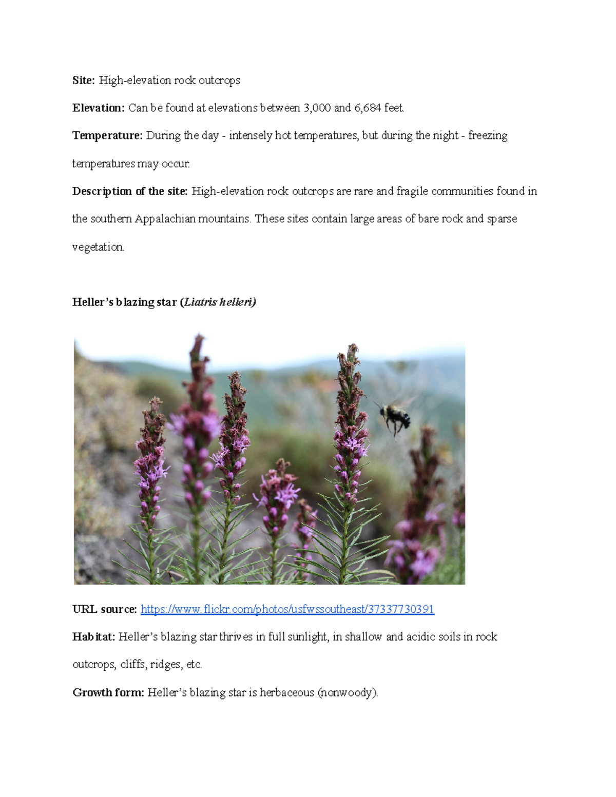 Bio CSA field journal - High elevation rock outcrops - Site: High ...