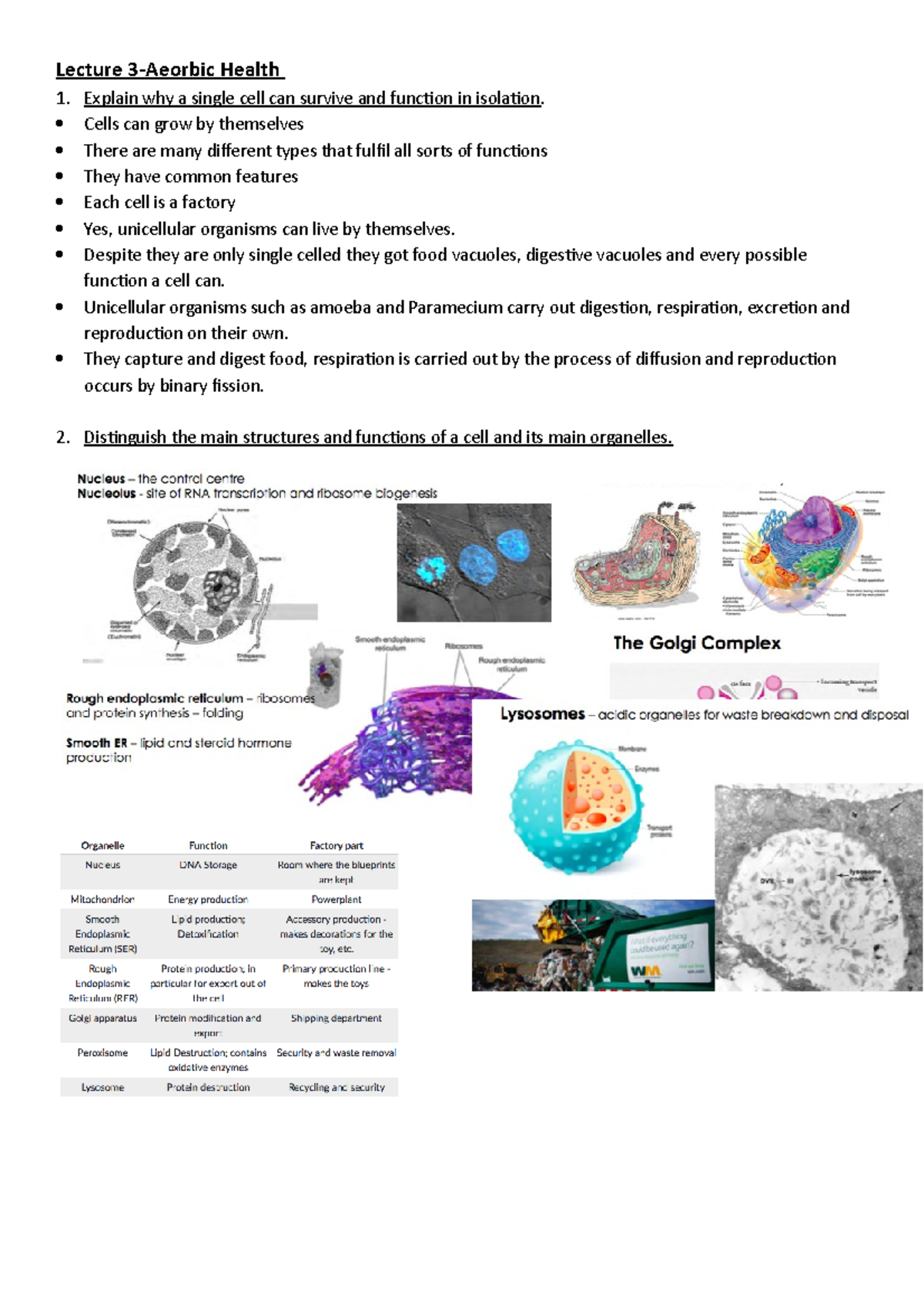 MEDS1001- Module 1 - Lecture Health 1. Explain why a single cell can ...