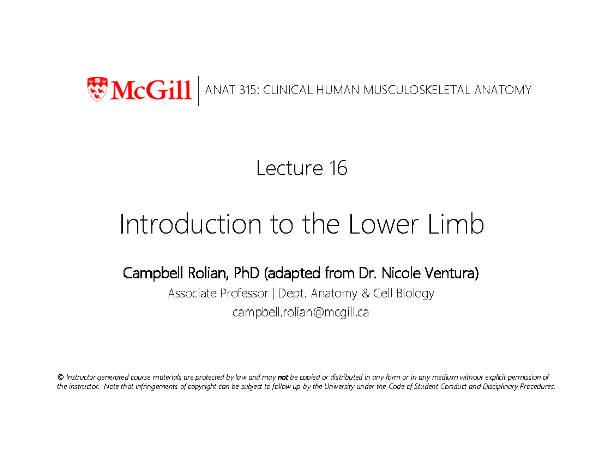 Lec 16 - Intro to the Lower Limb - Lecture 16 Introduction to the Lower ...
