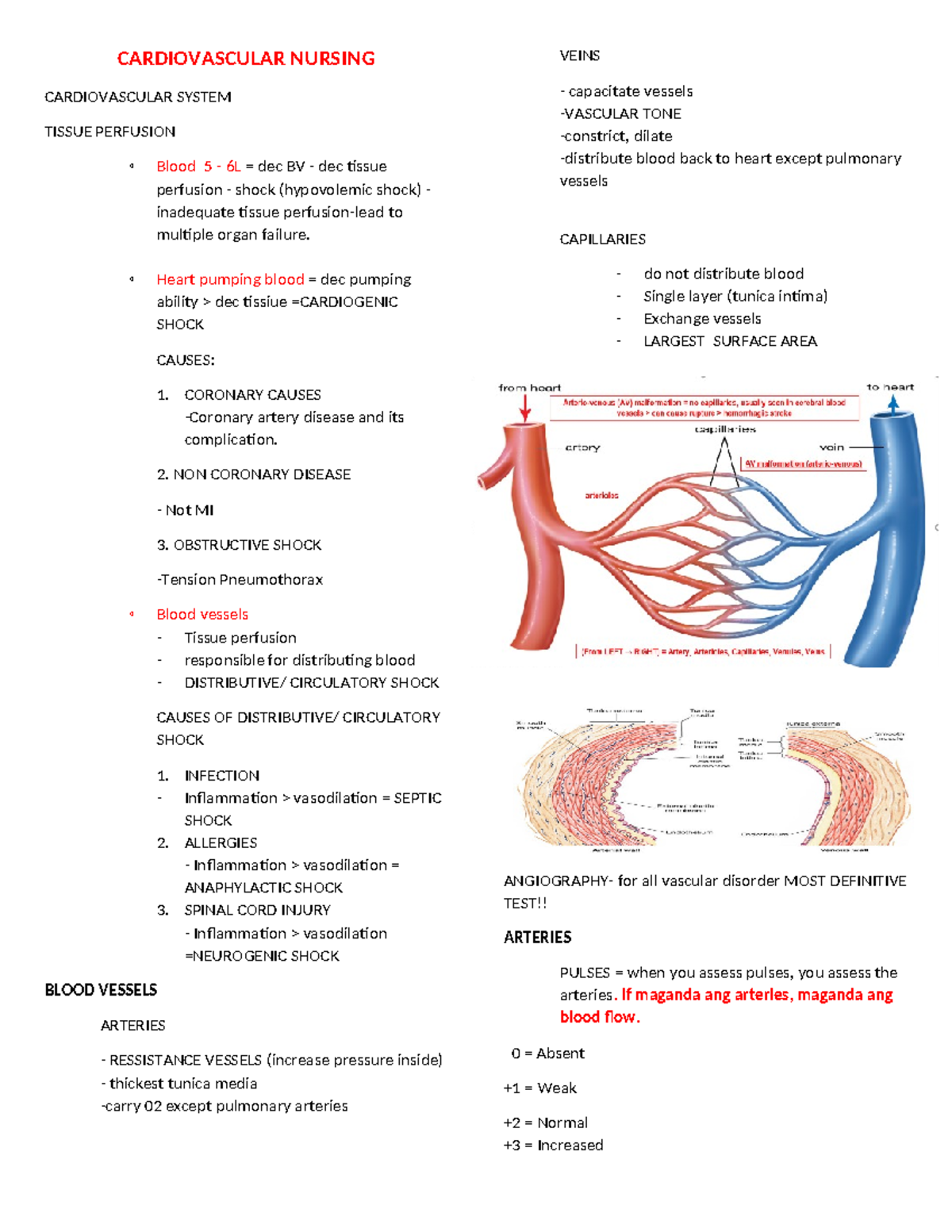 Cardiovascular Nursing - CARDIOVASCULAR NURSING CARDIOVASCULAR SYSTEM ...