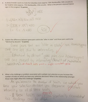 Sire Summary - ANEQ 330 - Studocu
