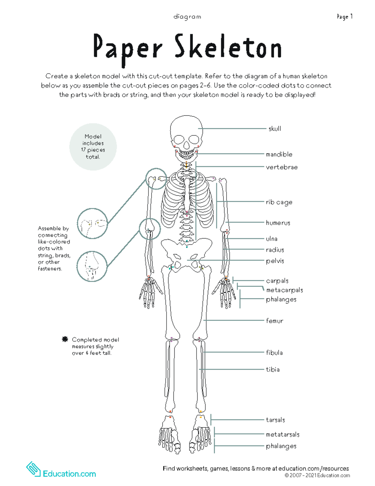 Paper-skeleton - Paper-skeleton - Paper Skeleton Create a skeleton ...