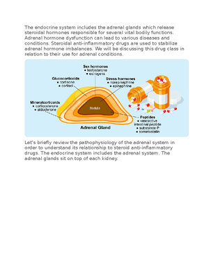 Nitropaste Ointment Application - This article will provide detailed ...