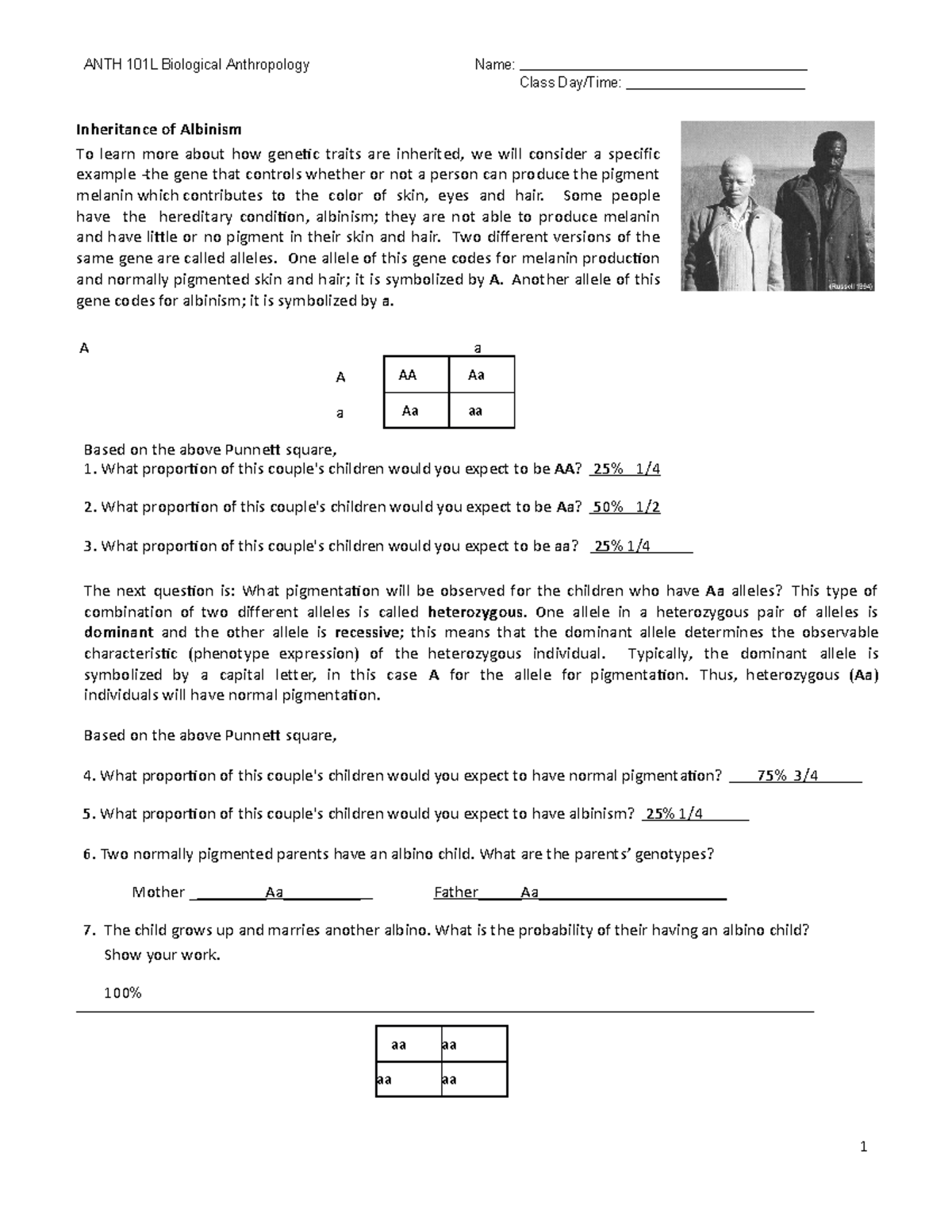 Genetics - genetica - Inheritance of Albinism To learn more about how ...