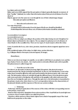 Cognitive psychology 2 - 4 Poor temporal resolution (detects changes in ...