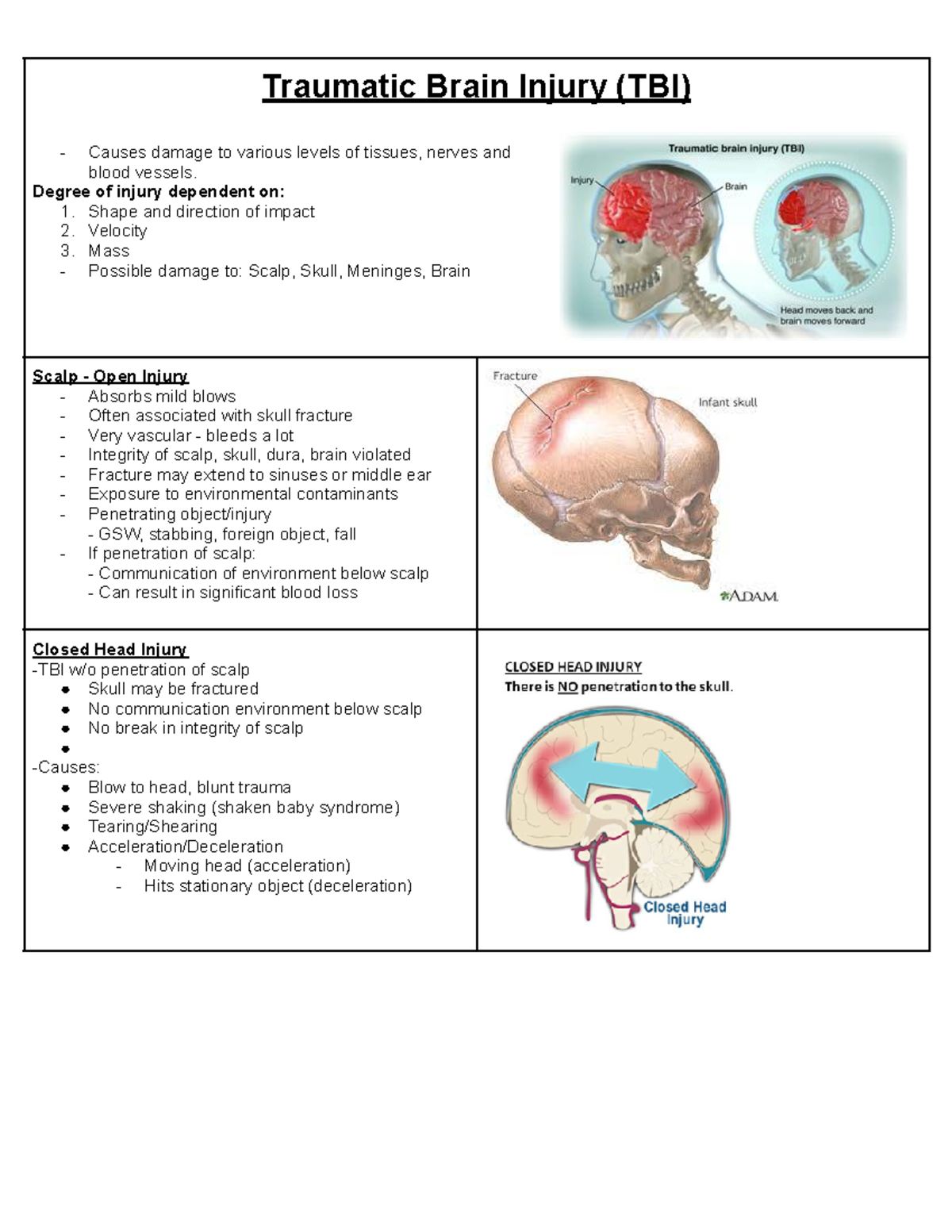TBI - TBI - Traumatic Brain Injury (TBI) Causes damage to various ...