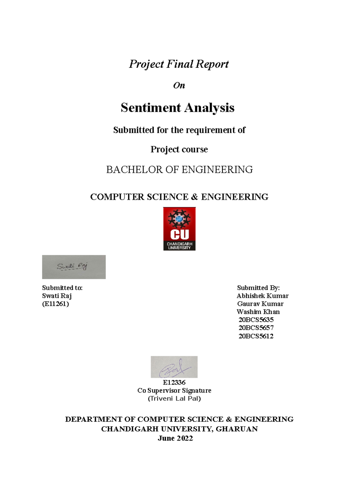Project Final Report - ibysbhbdrgh dsfhbgiabrg - Project Final Report On Sentiment Analysis ...