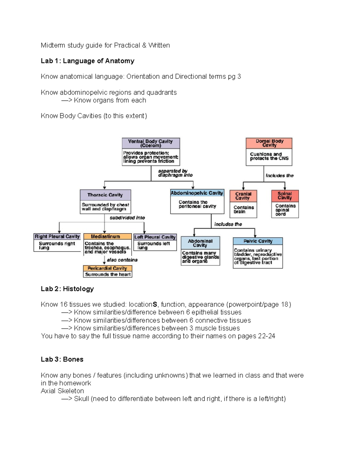 A&P Midterm SG - Review of Human Anatomy and Physiology Practical ...