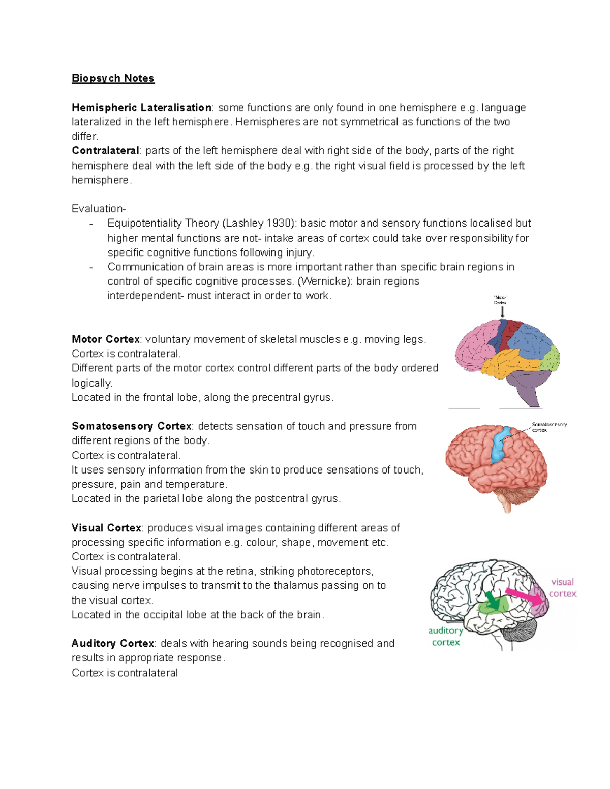 Biopsych Notes - Biopsych Notes Hemispheric Lateralisation: some ...