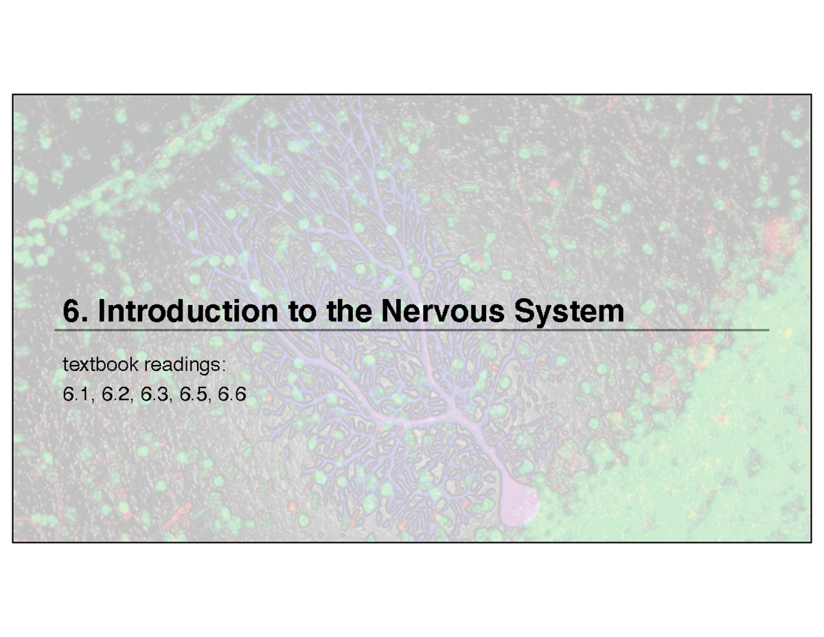 6 Intro to the Nervous System - 6. Introduction to the Nervous System ...