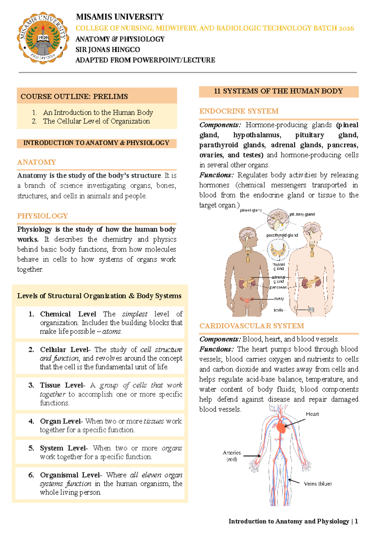 Anaphy Transes-1 - Transes - MISAMIS UNIVERSITY COLLEGE OF NURSING ...