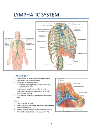 BOK 380- HPB - Hepatobiliary System Summary - HEPATOBILLARY SYSTEM ...