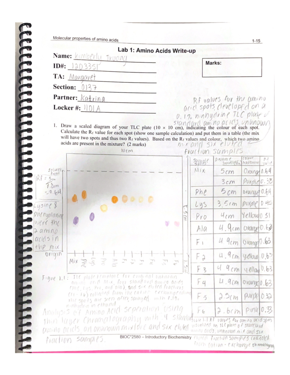 Lab 1 Molecular Properties of Amino Acids - BIOC 2580 - Studocu
