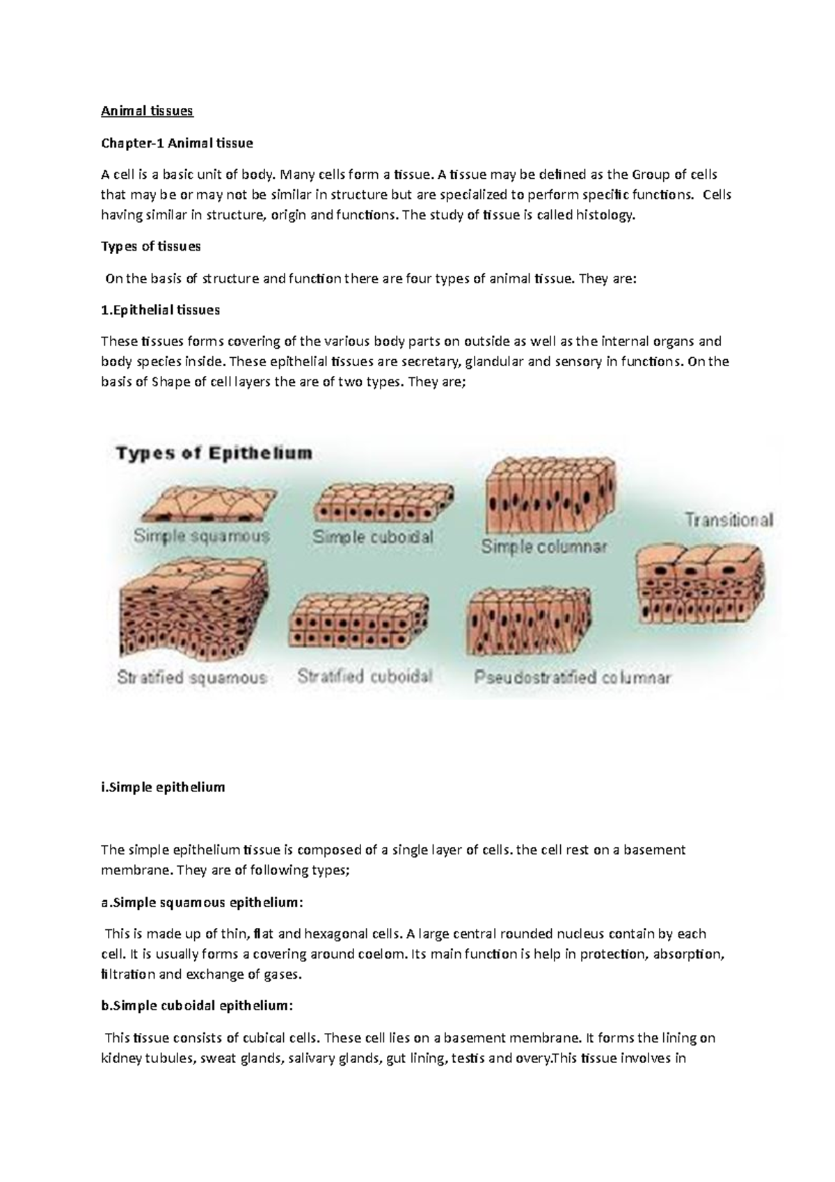 Animal tissues - Animal tissues Chapter-1 Animal tissue A cell is a ...