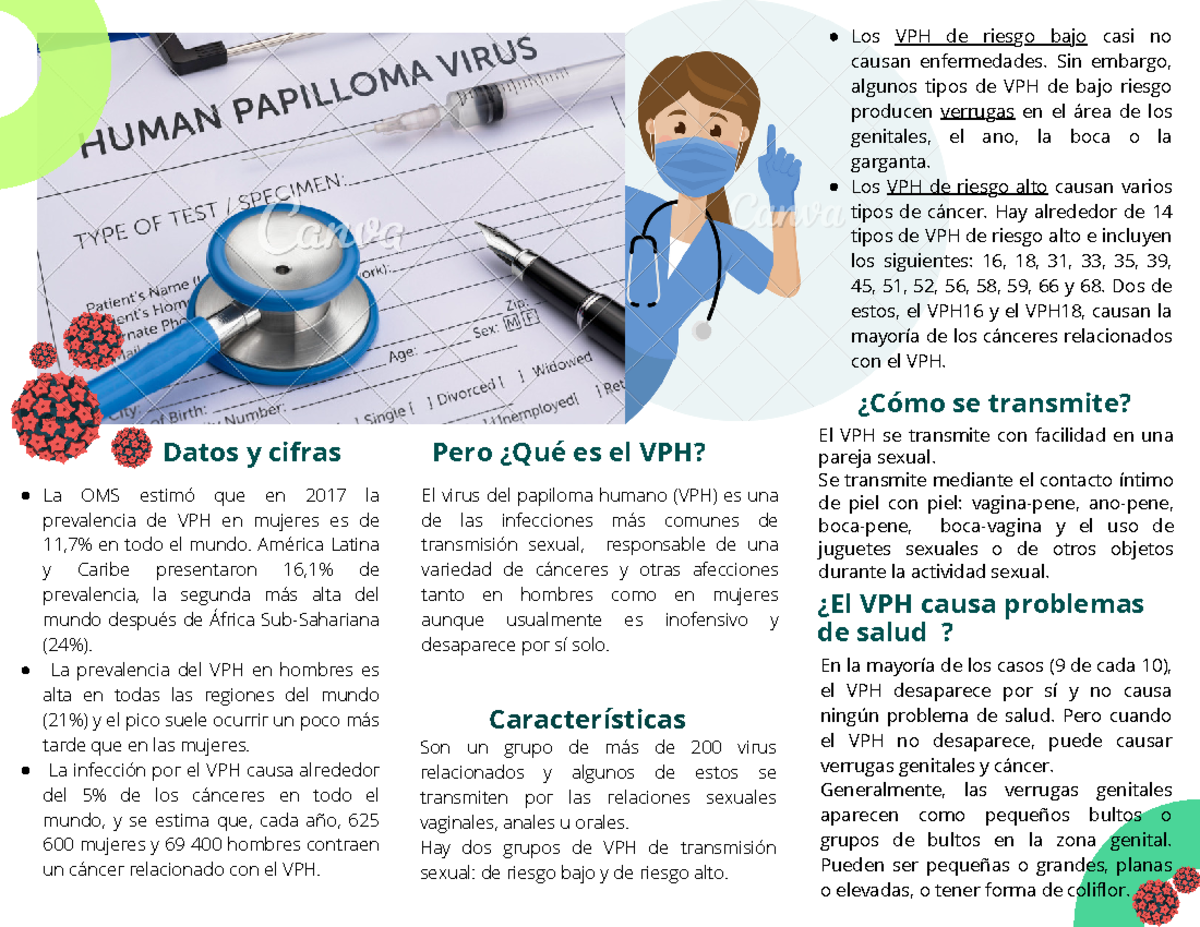 Triptico VPH - ... - Datos y cifras La OMS estimó que en 2017 la ...