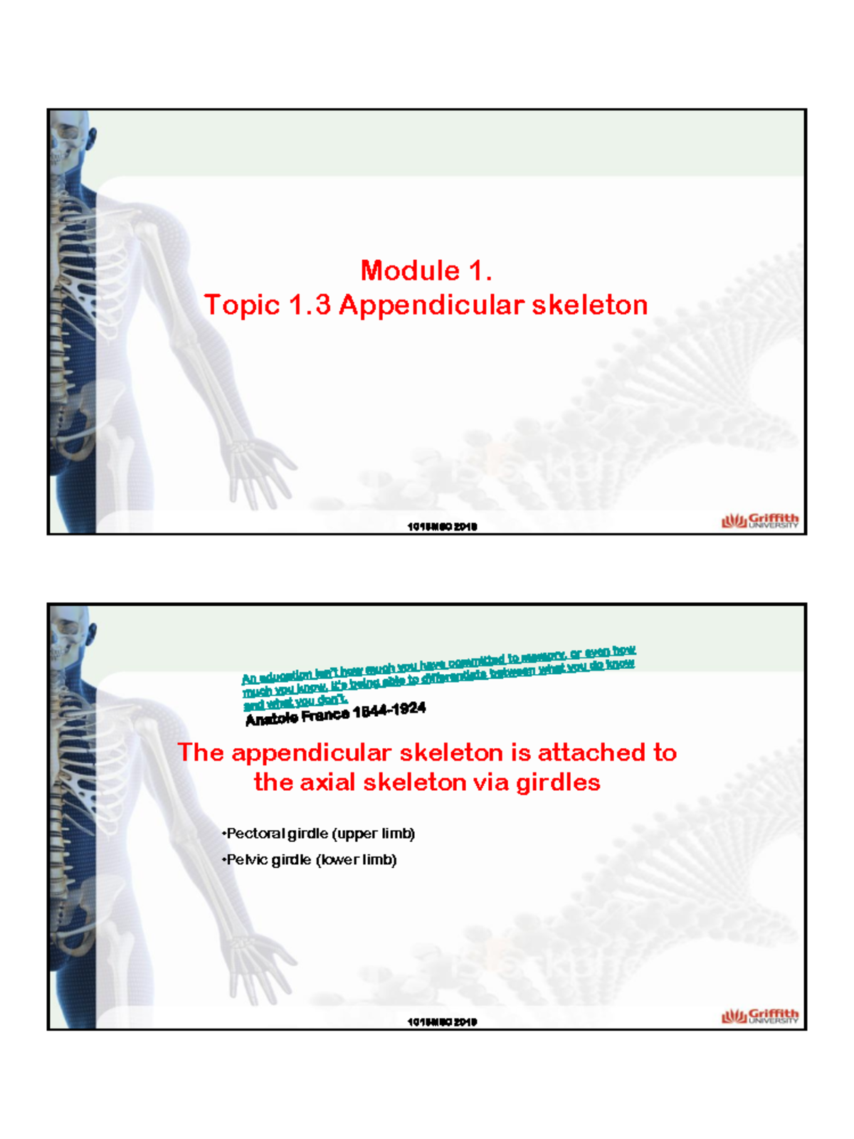 1.3 - Appendicular skeleton - Module 1. Topic 1 Appendicular skeleton ...