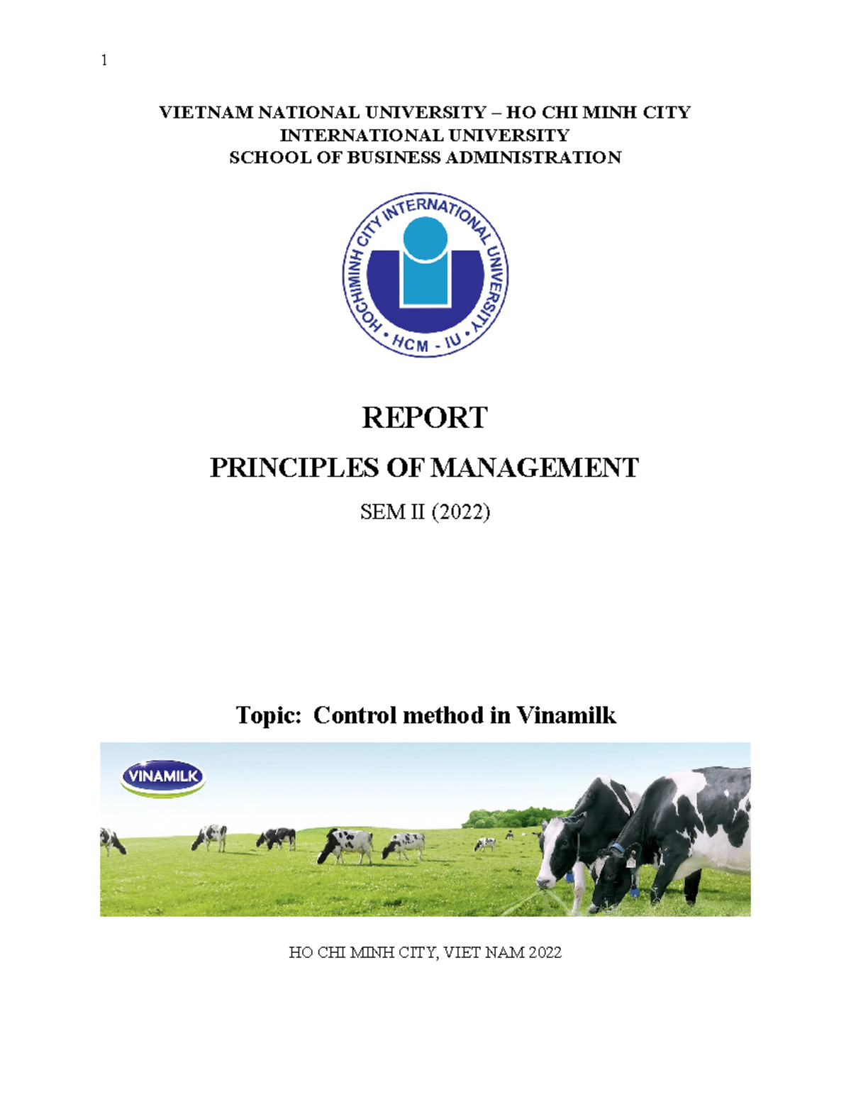 Report - VIETNAM NATIONAL UNIVERSITY – HO CHI MINH CITY INTERNATIONAL ...