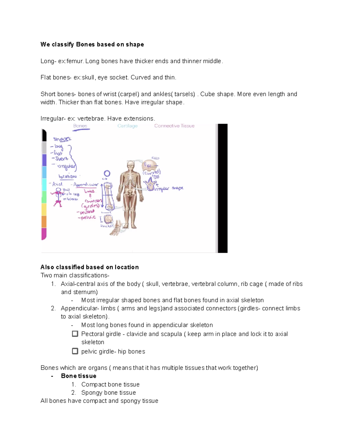 Bio 240 doc 1 - lecture notes - We classify Bones based on shape Long ...