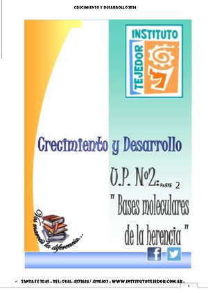 Plexo hipogástrico y cadena simpática lumbar - Plexo hipogástrico y ...