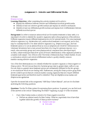 Worksheet 3 Nomenclature - NAME Brianna Levisay____ MICROBIAL ...