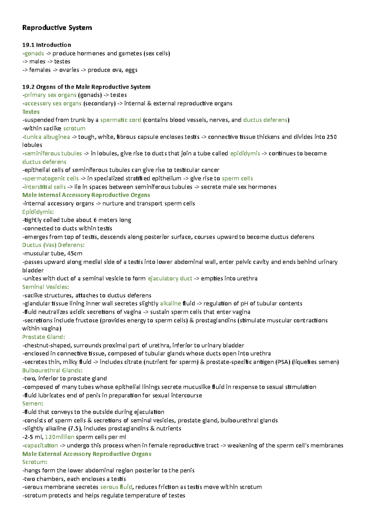 Reproductive System - Studocu