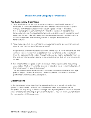 MRU Nclex Preparation. Mondays- Thursdays 6-9 PM 2023-01-23 - 0:0:0 ...