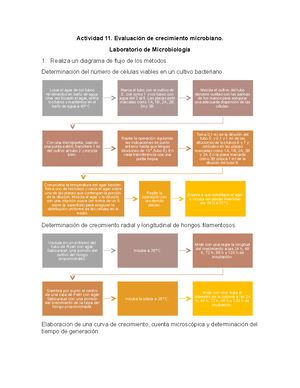 Fotoautótrofos - Apuntes 4 - FOTOAUTÓTROFOS Los organismos ...