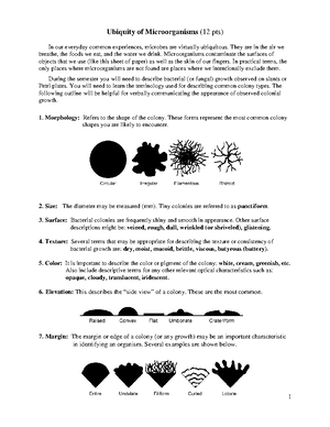 BIO 150 Chapter 1 Worksheet (1) key - Chapter 1 Worksheet List the ...