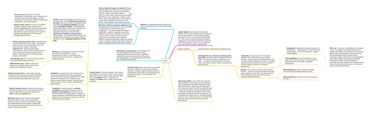 Brain Module Workshop Mindmap PSY102 - Brain Nervous Systems Central ...