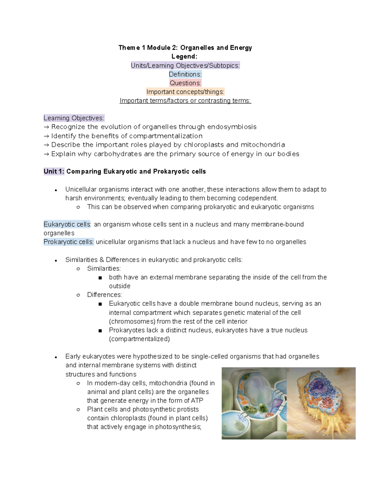T1m2 Lecture Notes For Bio 1a03 Theme 1 Module 2 Theme 1 Module 2 Organelles And Energy