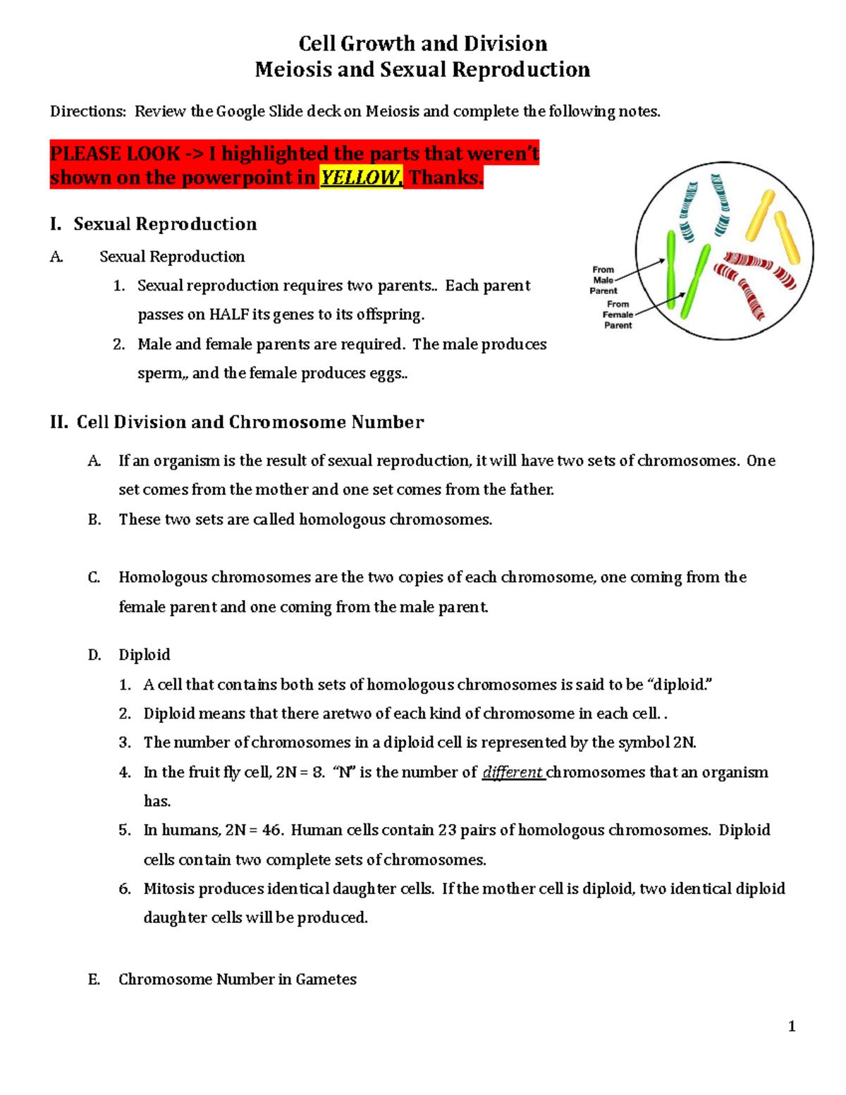 Notes for Meiosis - Cell Growth and Division Meiosis and Sexual ...