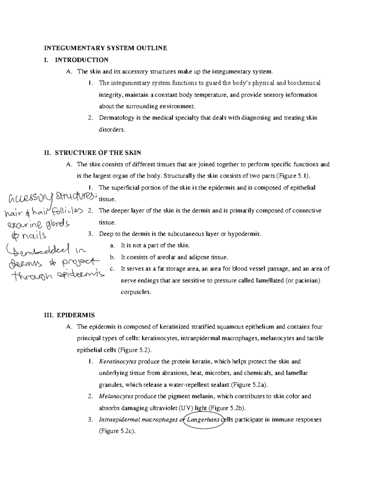 Integumentary system Study Guide - INTEGUMENTARY SYSTEM OUTLINE I ...