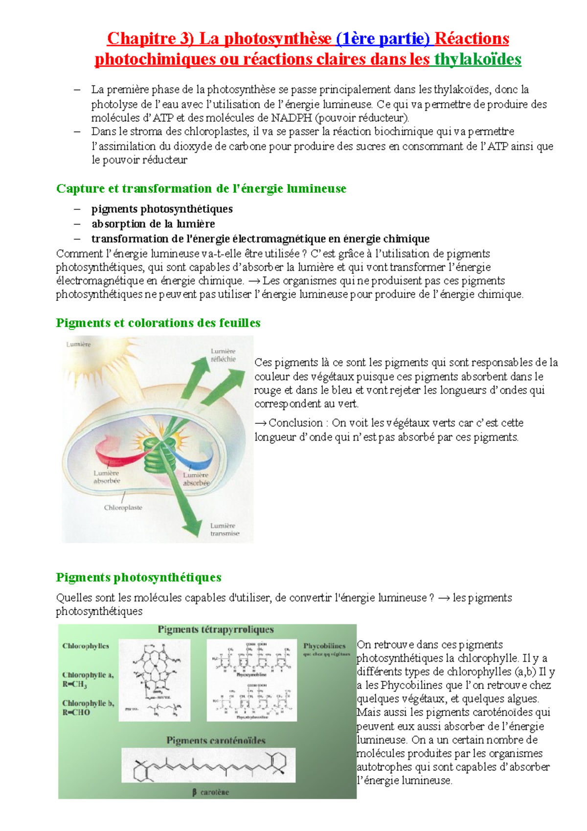 phase claire photosynthèse