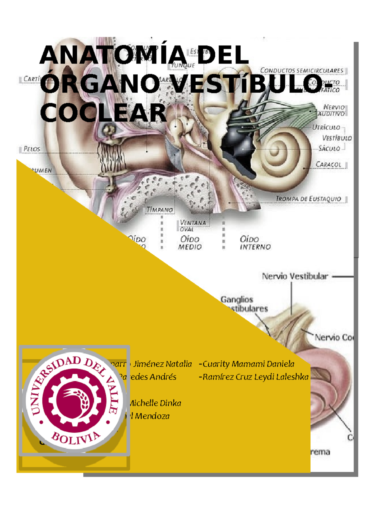 Anatomía del órgano vestíbulo-coclear - Biofísica - Universidad del ...