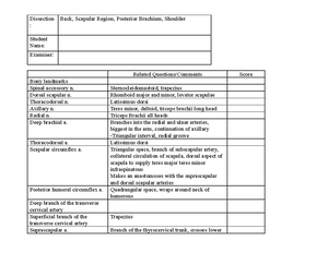 DPT clinical anatomy table conference 4 - Dissection : Anterior ...