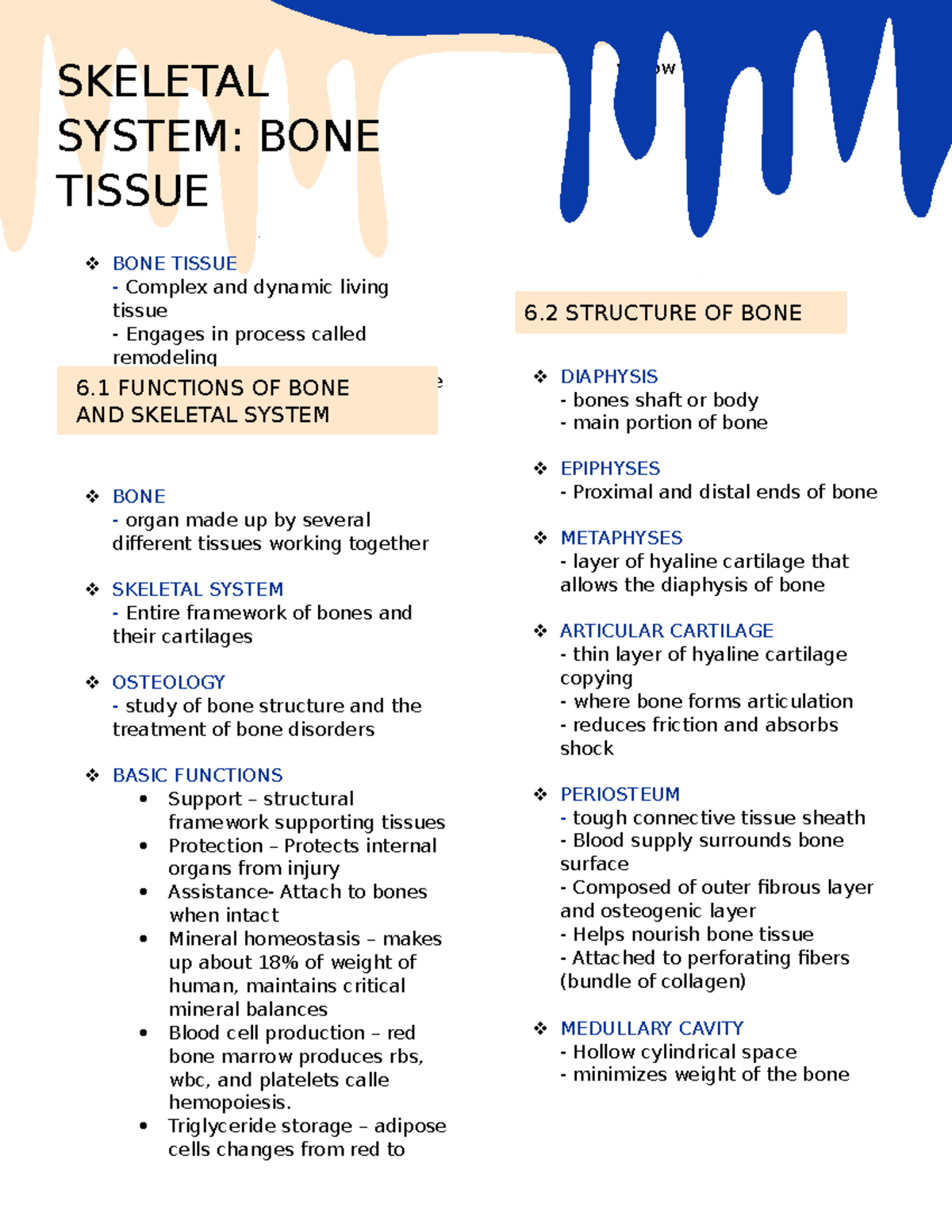 Skeletal System Notes - SKELETAL SYSTEM: BONE TISSUE BONE TISSUE ...